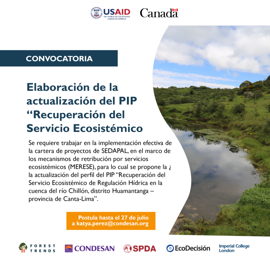 Convocatoria: Consultoría elaboración de actualización de PIP ...