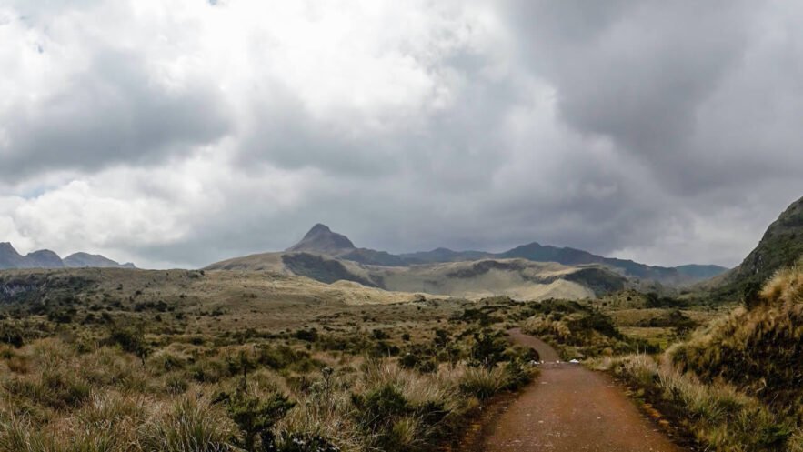 Nuevo libro sobre los Páramos de Ecuador explora su complejidad y mira ...